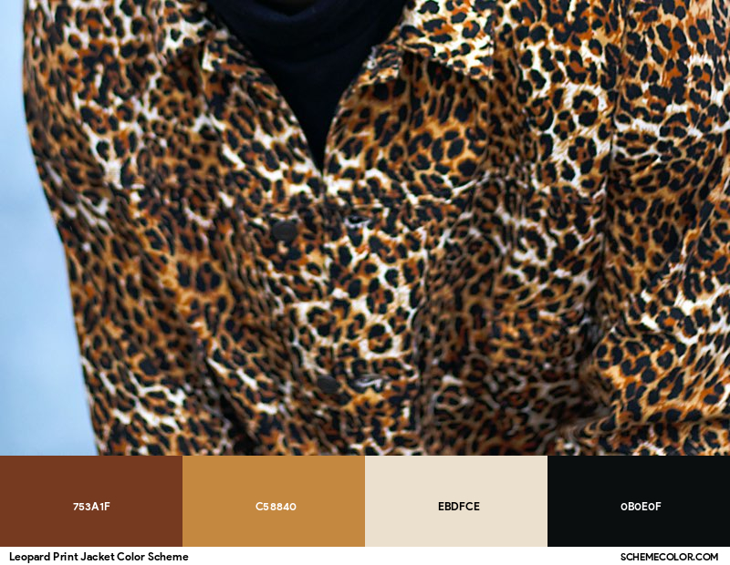 Leopard Print Jacket Color Scheme - Image Color Palettes - SchemeColor.com