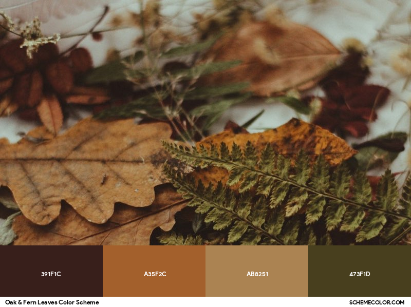 Oak & Fern Leaves Color Scheme - Image Color Palettes - SchemeColor.com