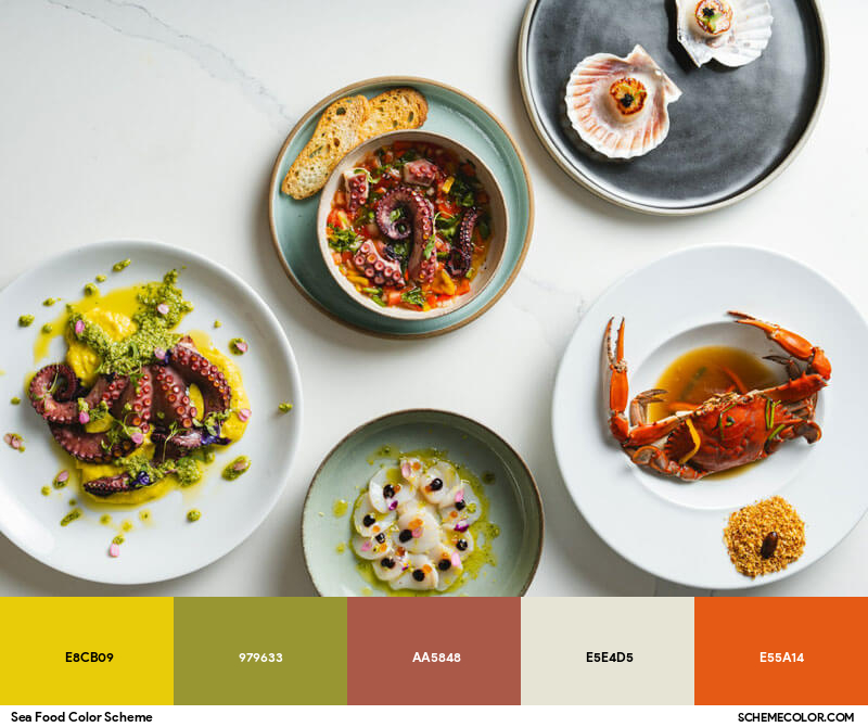 Sea Food Color Scheme - Image Color Palettes - SchemeColor.com