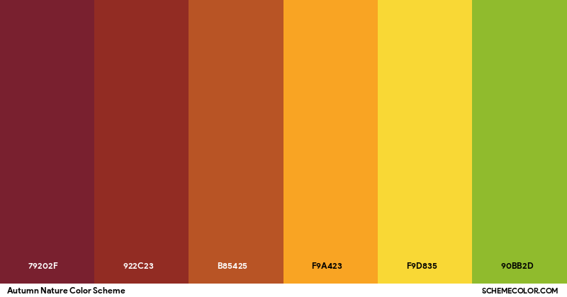 Autumn Nature Color Scheme - Palettes - SchemeColor.com
