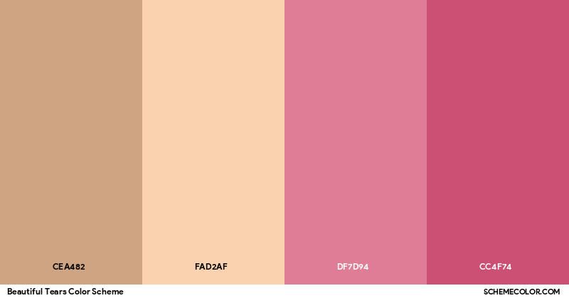 Beautiful Tears Color Scheme - Palettes - SchemeColor.com