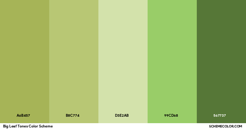Big Leaf Tones Color Scheme - Palettes - SchemeColor.com