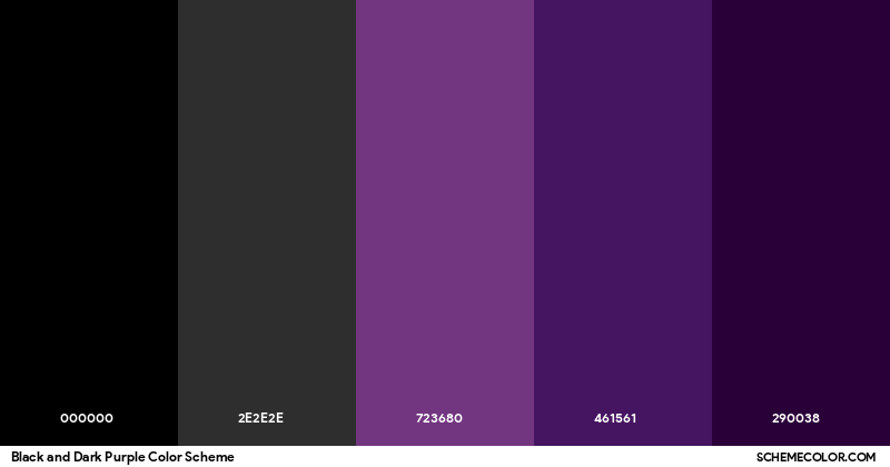 Black and Dark Purple Color Scheme - Palettes - SchemeColor.com