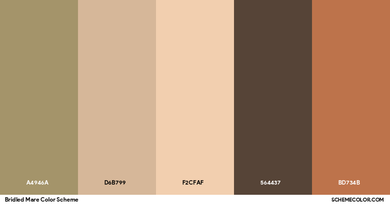 Bridled Mare Color Scheme - Palettes - SchemeColor.com