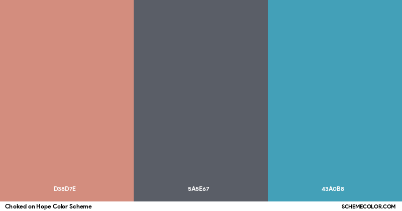Choked on Hope Color Scheme - Palettes - SchemeColor.com