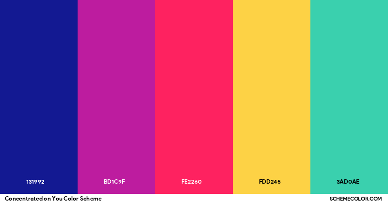 Concentrated on You Color Scheme - Palettes - SchemeColor.com