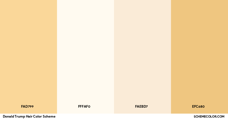 Donald Trump Hair Color Scheme - Palettes - SchemeColor.com