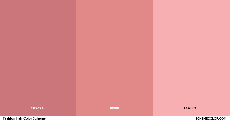 Fashion Hair Color Scheme » Image » SchemeColor.com