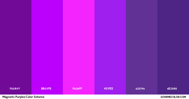 Magnetic Purples Color Scheme - Palettes - SchemeColor.com