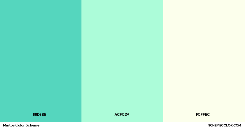 Mintos Color Scheme - Palettes - SchemeColor.com