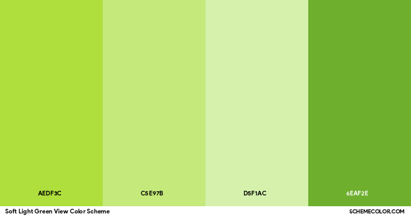 Soft Light Green View Color Scheme - Palettes - SchemeColor.com