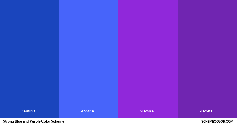 Strong Blue and Purple Color Scheme - Palettes - SchemeColor.com