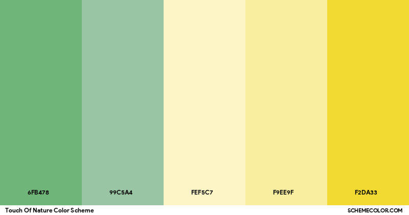 Touch Of Nature Color Scheme - Palettes - SchemeColor.com