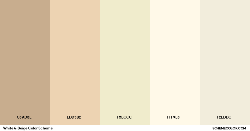 White And Beige Color Scheme Palettes 8877