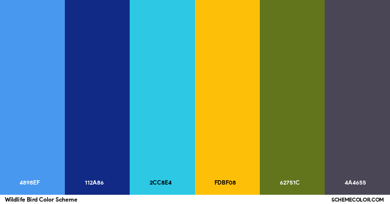Wildlife Bird Color Scheme » Image » SchemeColor.com