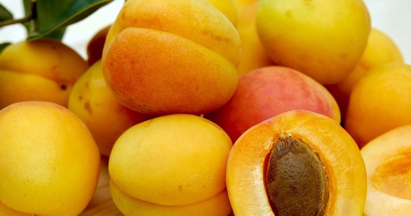 Apricot Love Color Scheme - Image Color Palettes - SchemeColor.com