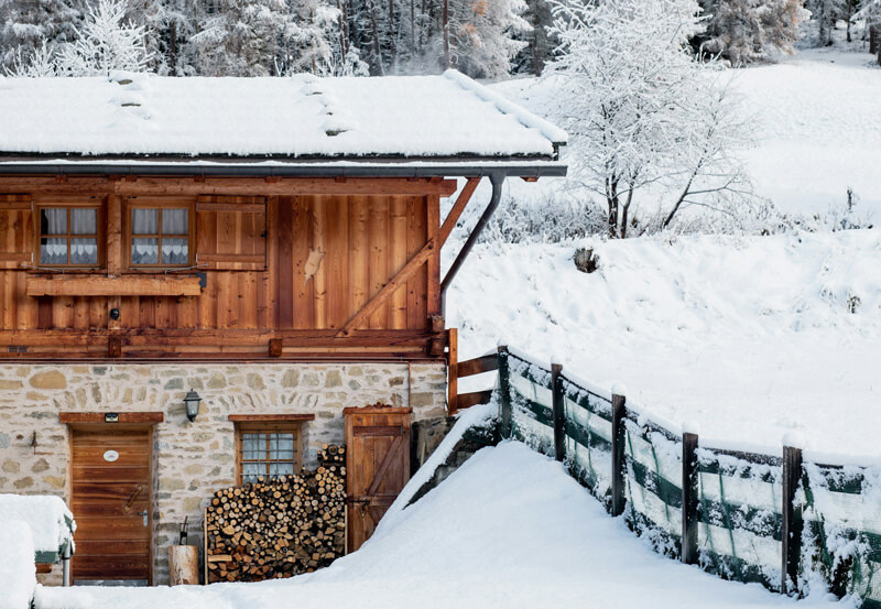 Forest House Color Scheme - Image Color Palettes - SchemeColor.com