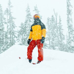 Image Color Schemes - SchemeColor.com